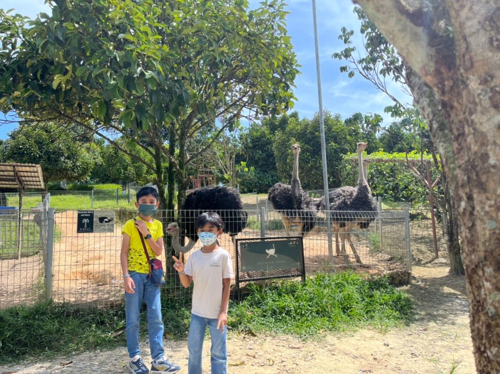 D’Bilut Agrofarm & Retreat at Bentong Pahang - My Awesome Moments