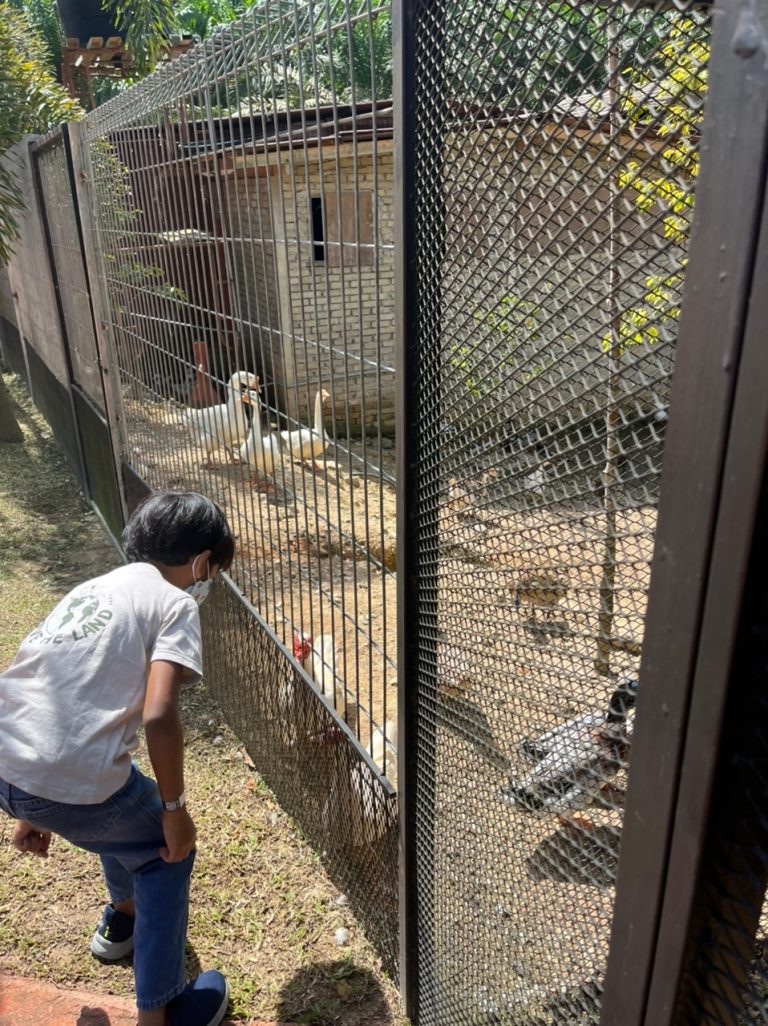 D’Bilut Agrofarm & Retreat at Bentong Pahang - My Awesome Moments